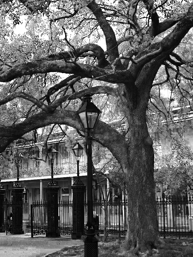 The Lure of a Road Trip~ | Elizabeth Mozley Partridge, Alabama Author