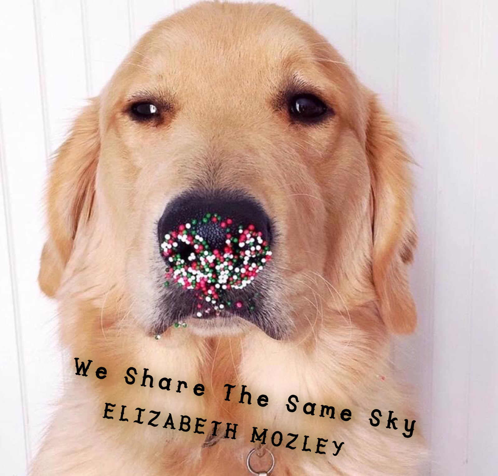 —Did you say, “battle for the best cupcake?!” | Elizabeth Mozley ...