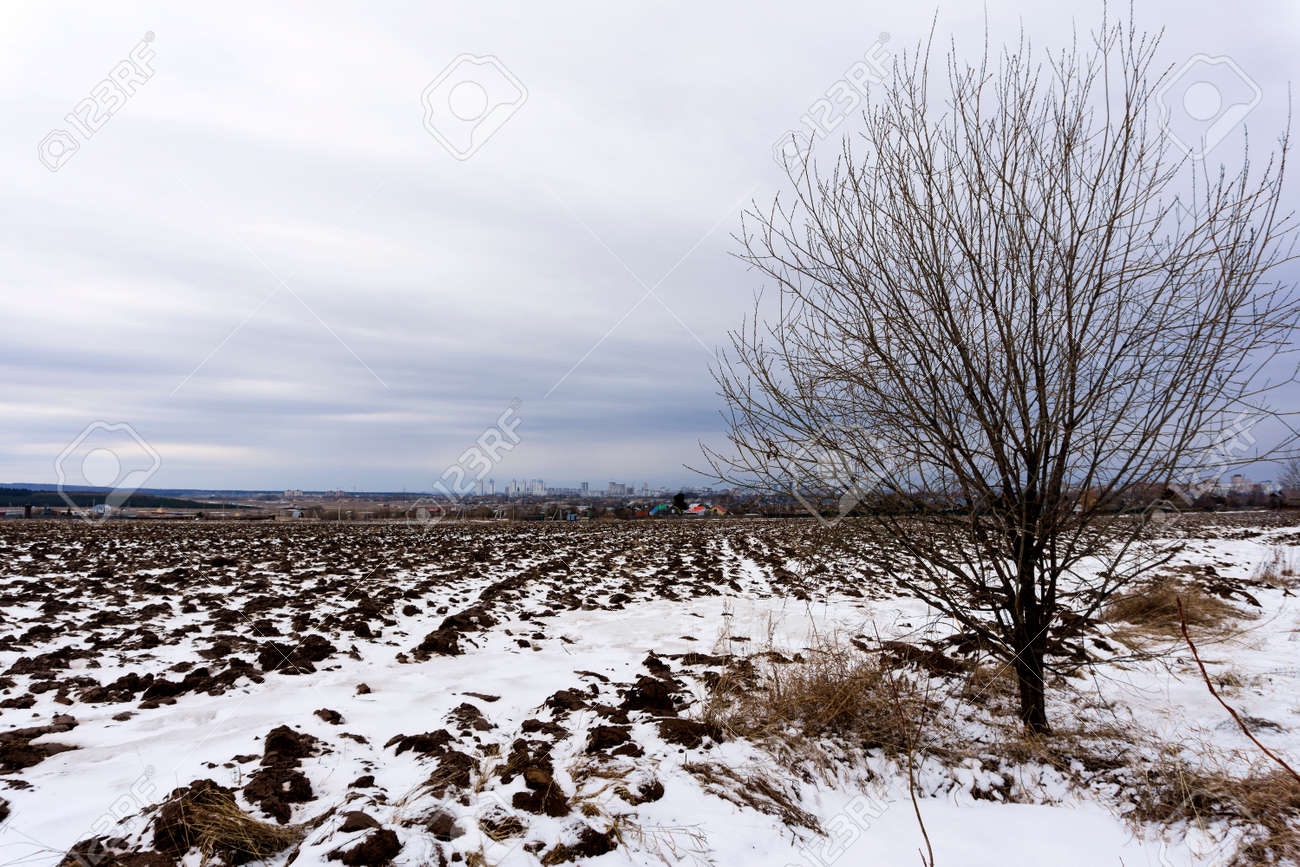 PAUSE… | Elizabeth Mozley Partridge, Alabama Author