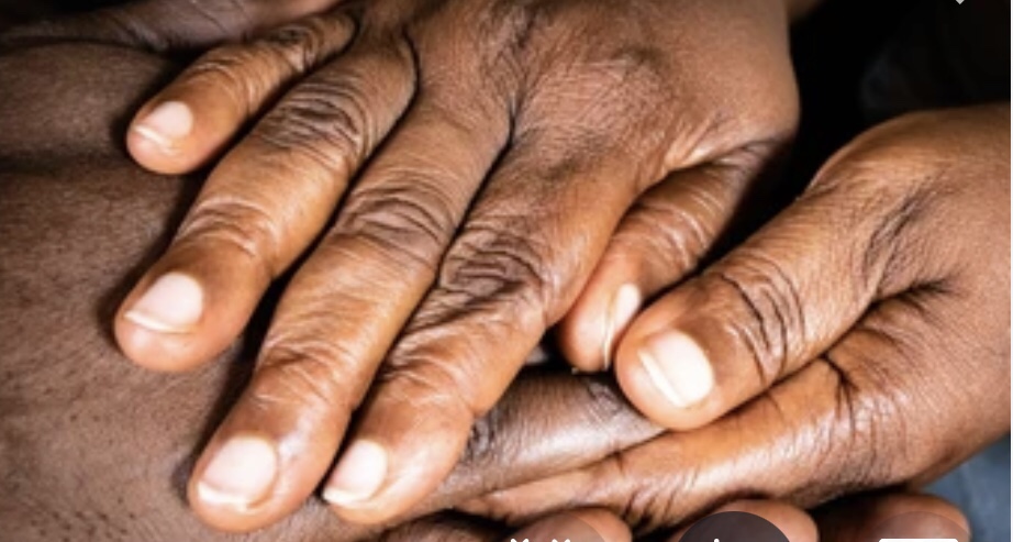 My neighbors must roll their eyes and laugh! | Elizabeth Mozley ...