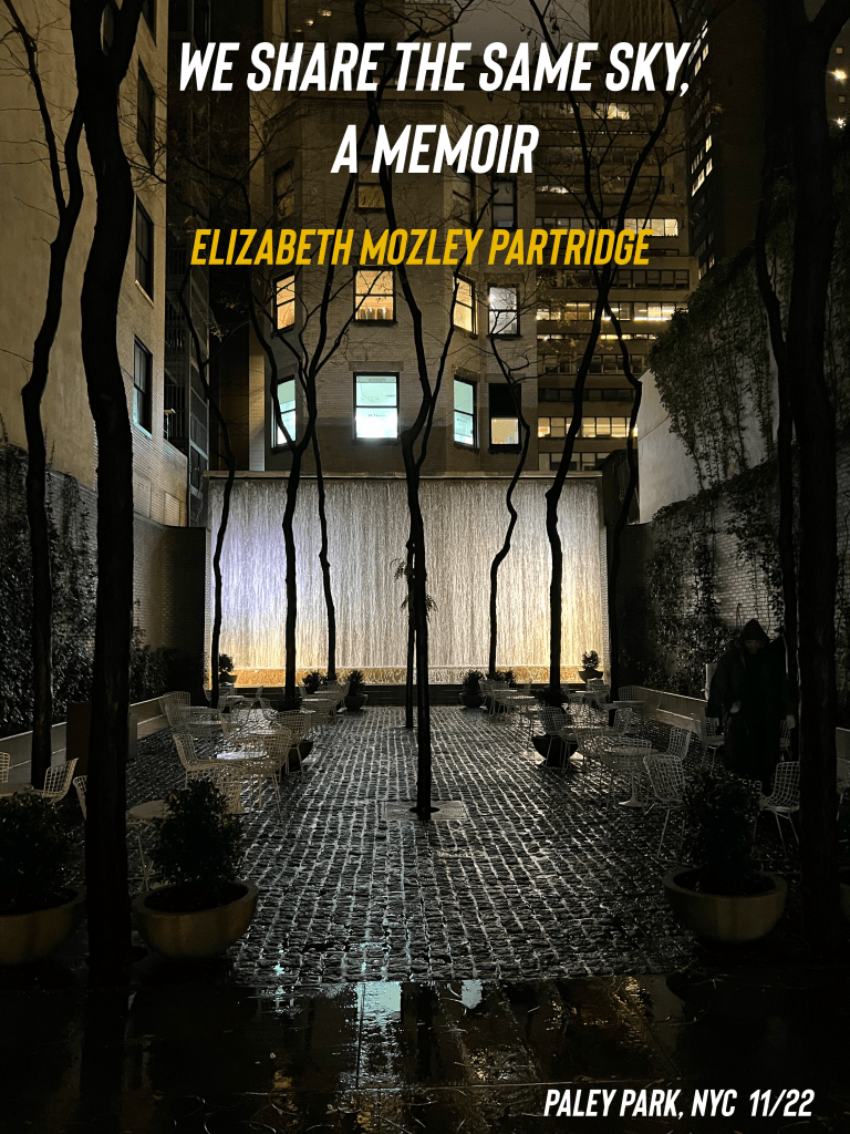 Time has a funny way of bending in on itself. #NYC | Elizabeth Mozley ...