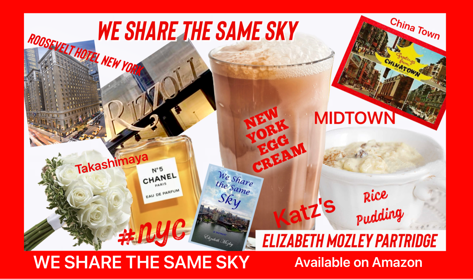 WANDERING AIMLESSLY #NYC 2007 | Elizabeth Mozley Partridge, Alabama Author